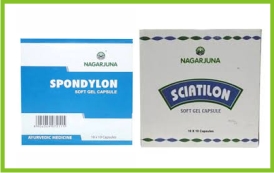 global ayurvedic agencies