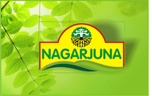 global ayurvedic agencies